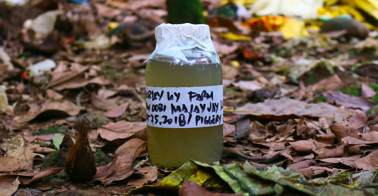 Majayjay mounts slow, failing battle vs. sludge from hog farms - PCIJ.org